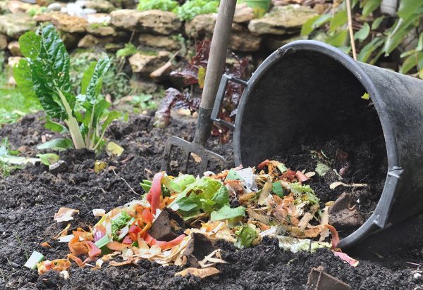 What's composting? How does it work? How do I start? What method is best?