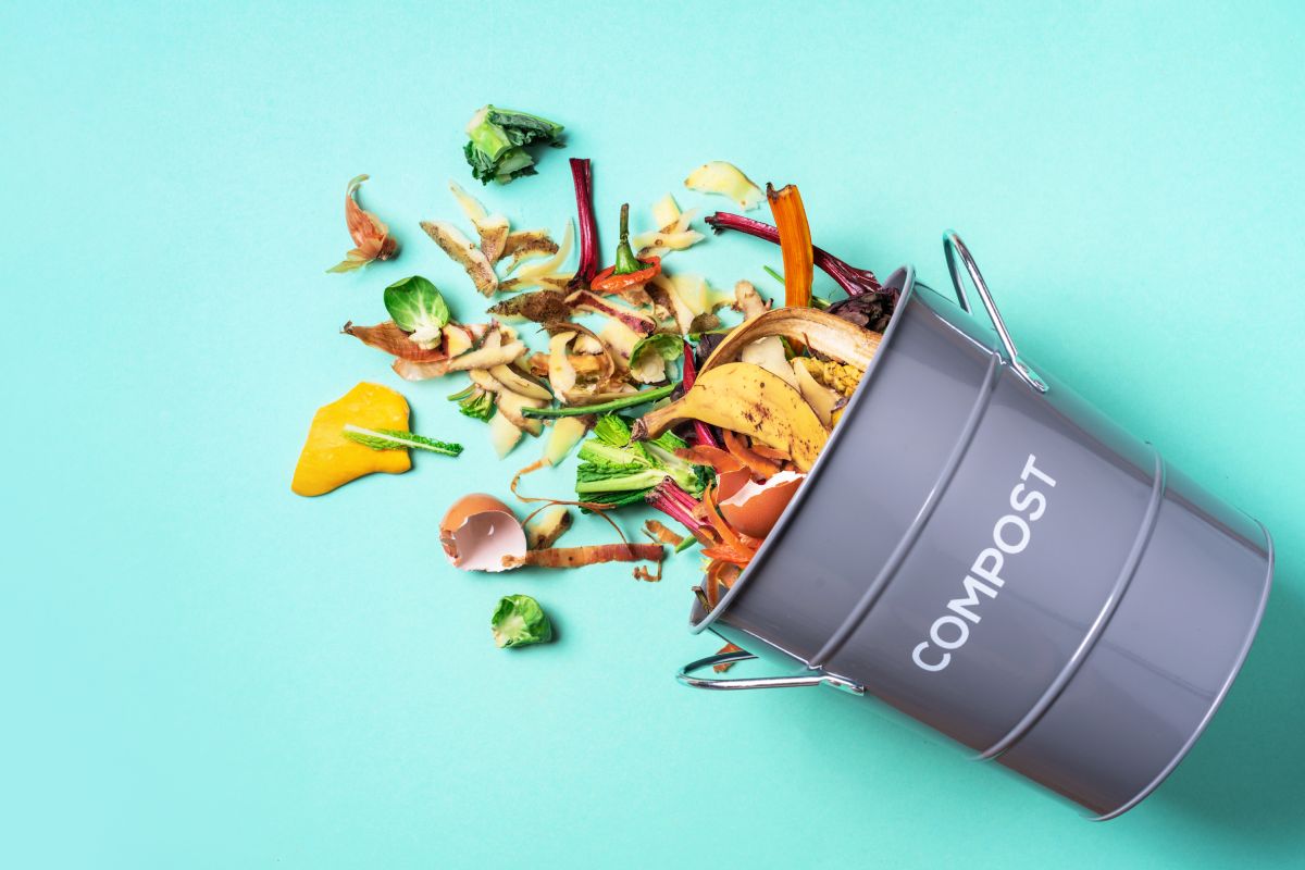 Difference Between Electric Composter vs Dehydrator Machine