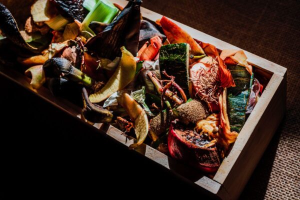 Food waste disposal machine price: Electric composter cost